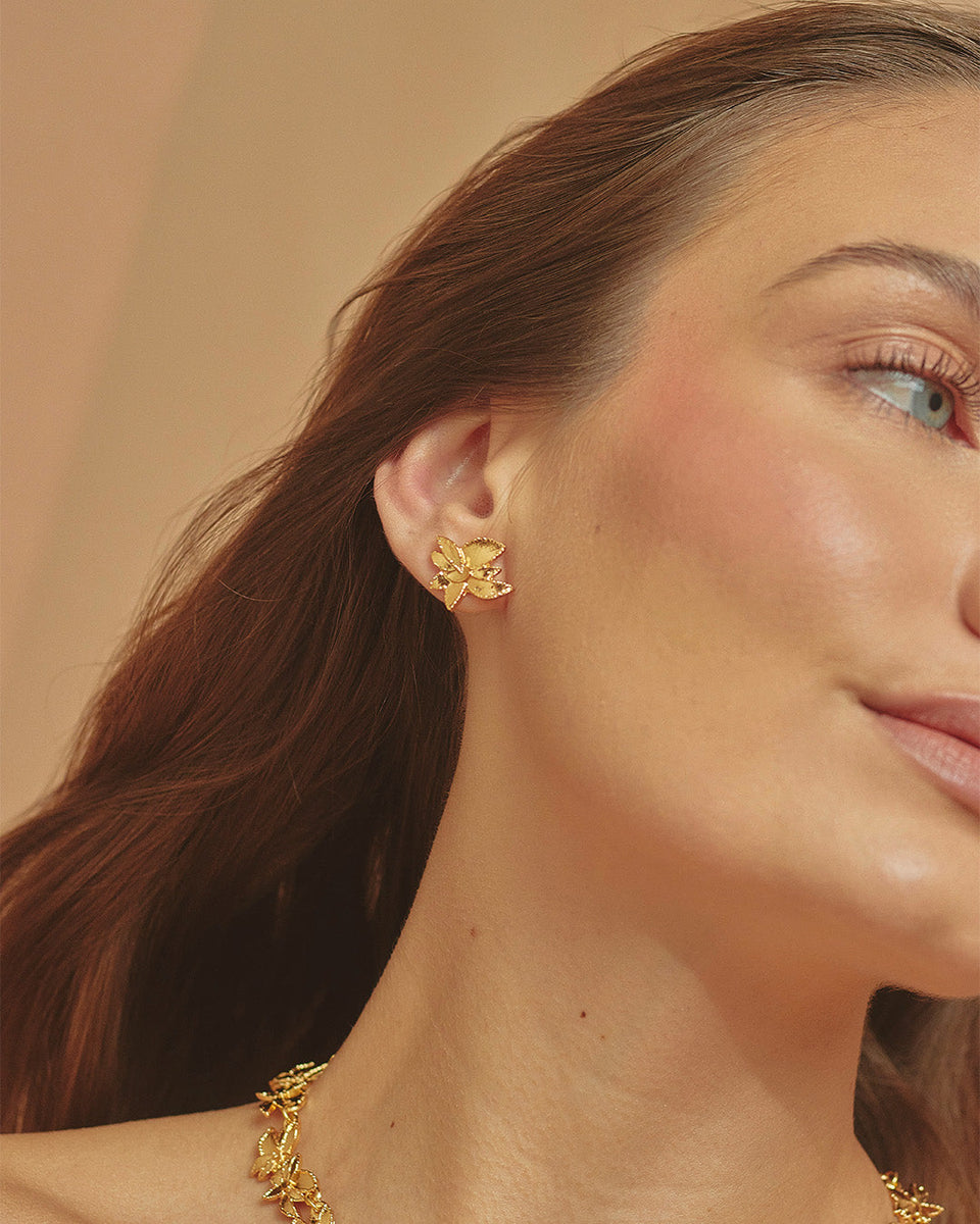 Topos Maranta – LUNAMAR WH